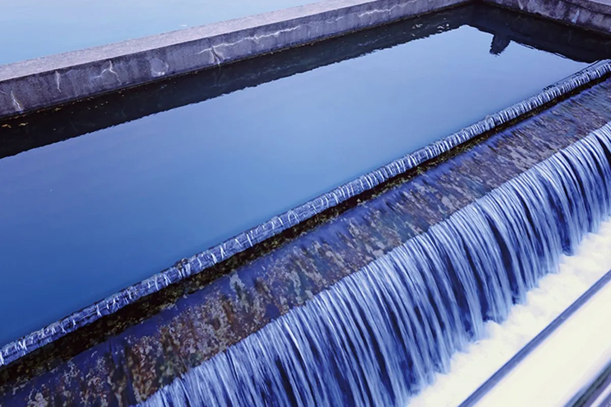 Ian Bolger - | Efficio UK