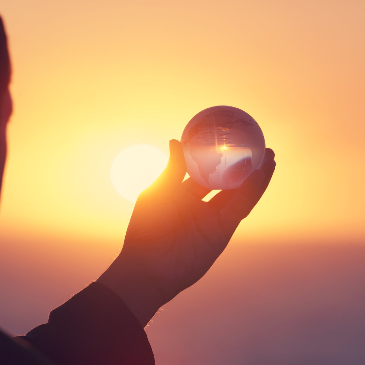 Efficio's procurement and supply chain predictions for 2021 - Expert ...