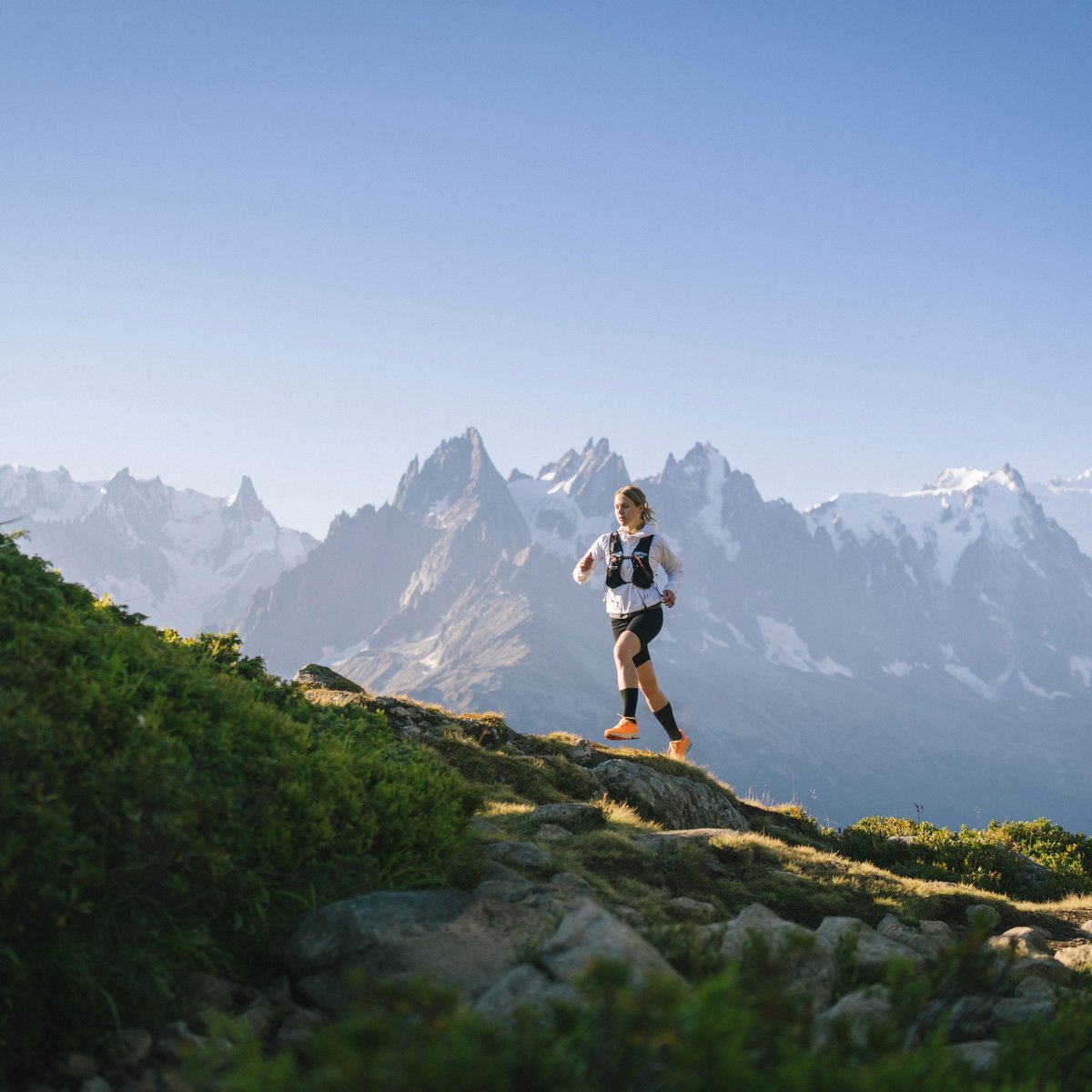 The Sustainability Playbook: A private equity firm’s guide to stronger ...