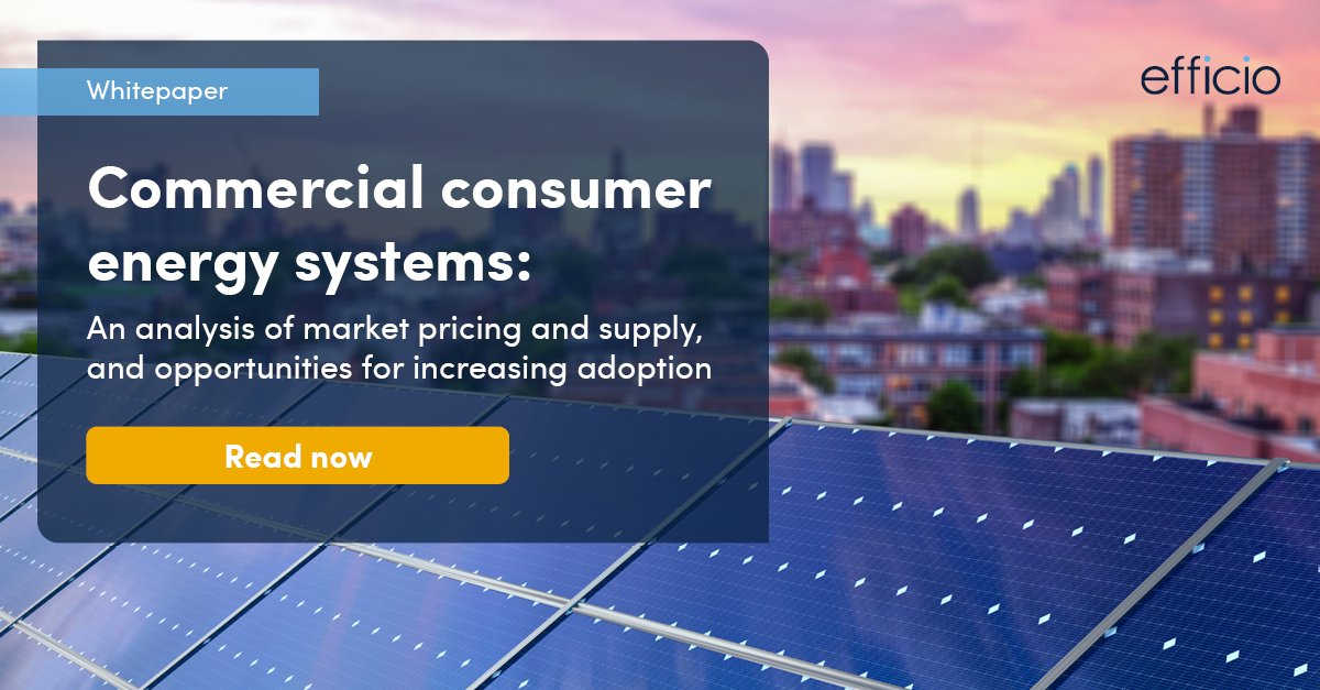 Commercial consumer energy systems: An analysis of market pricing and ...