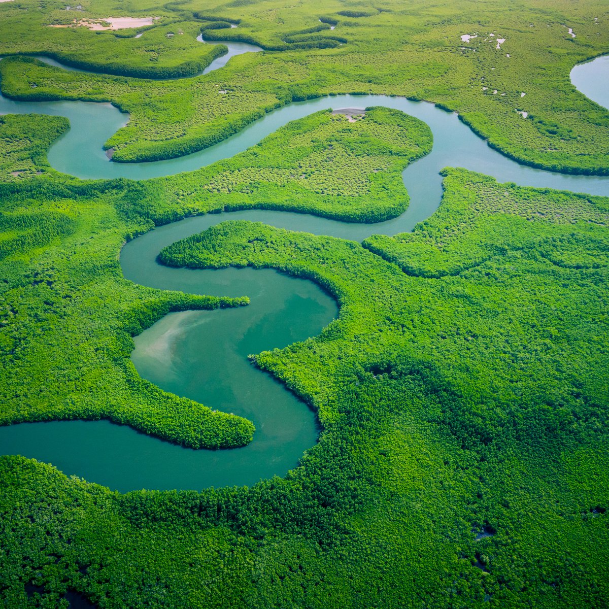 Harnessing tech to deliver Kantar’s sustainability strategy - Case ...